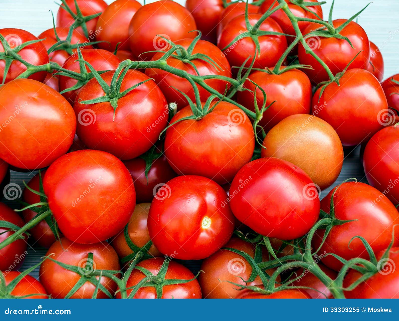 Red ripe tomatoes stock image. Image of production, ripe - 33303255