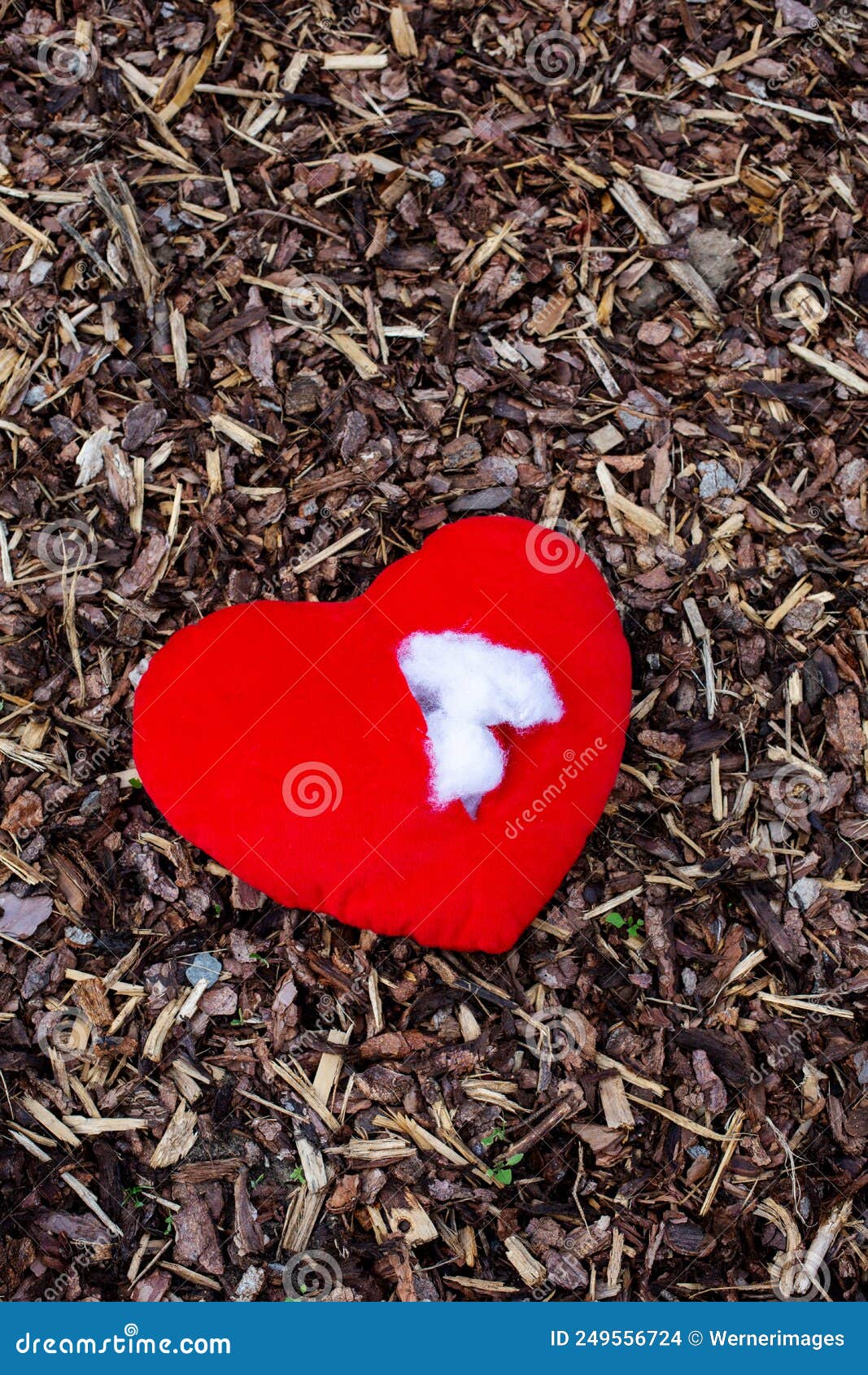 Ripped Stuffed Heart Lying on the Floor Stock Photo - Image of closeup ...