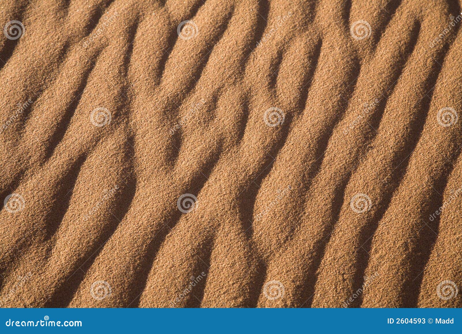 Red Ripples stock image. Image of namibia, nature, ripple - 2604593