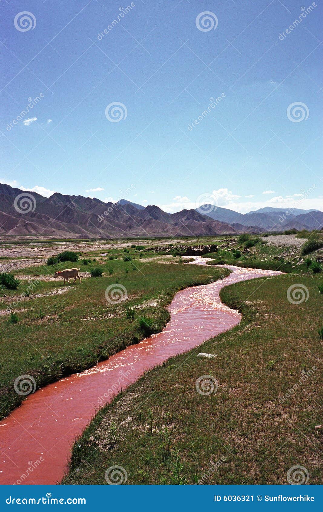 Red River stock image. Image of rill, forest, natural - 6036321