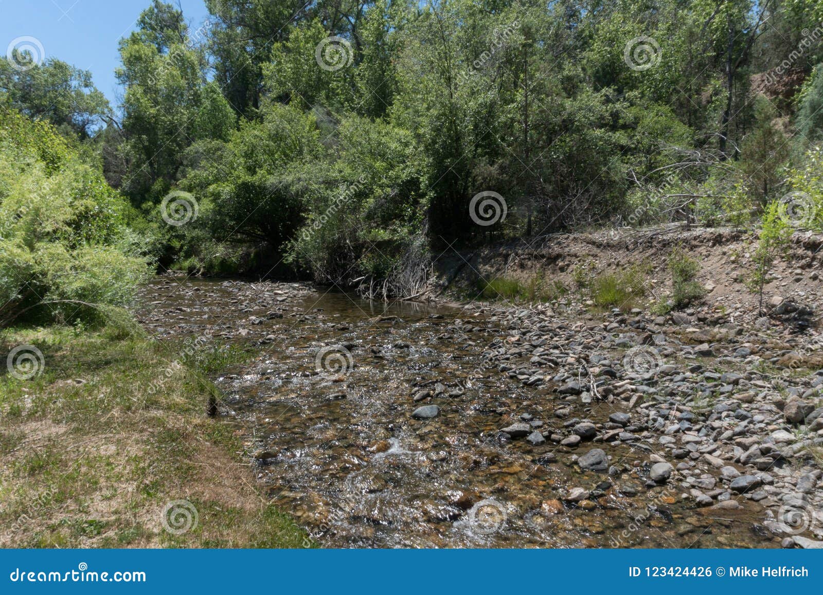 The Red River Flows in New Mexico. Stock Photo - Image of water, river ...