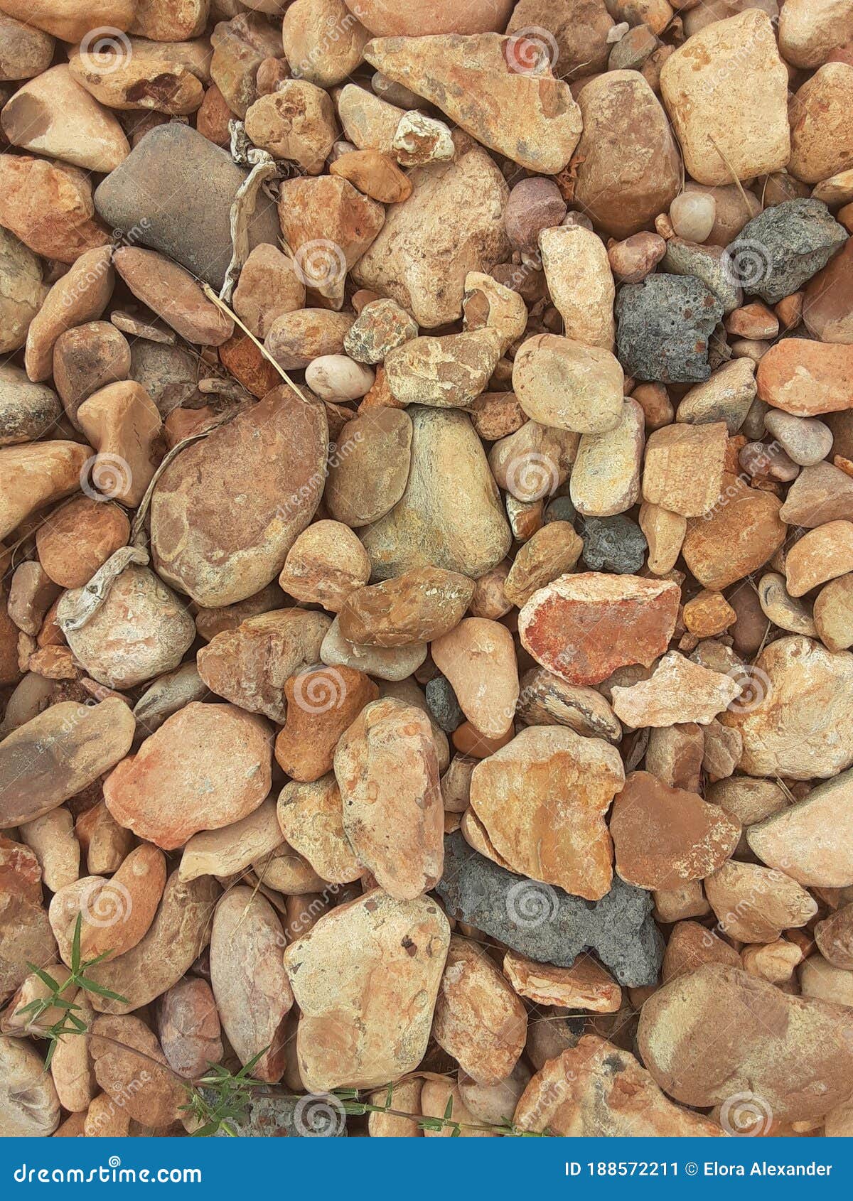 Red River rocks stock image. Image of rocks, bedrock - 188572211
