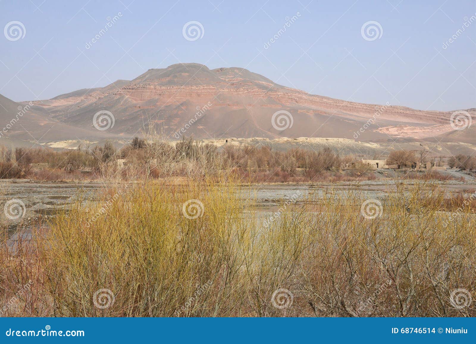 The Red River Valley in Xinjiang of China Stock Photo - Image of ...