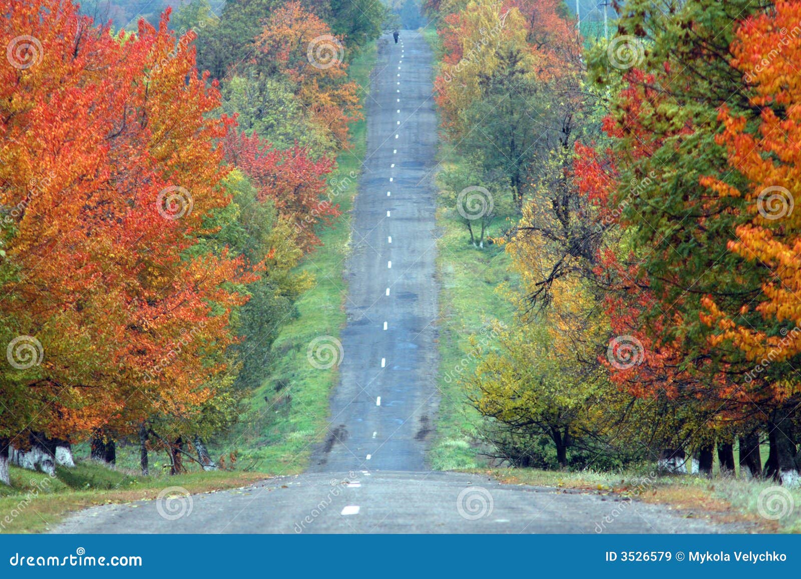 Red road stock image. Image of outdoor, mist, beauty, weather - 3526579