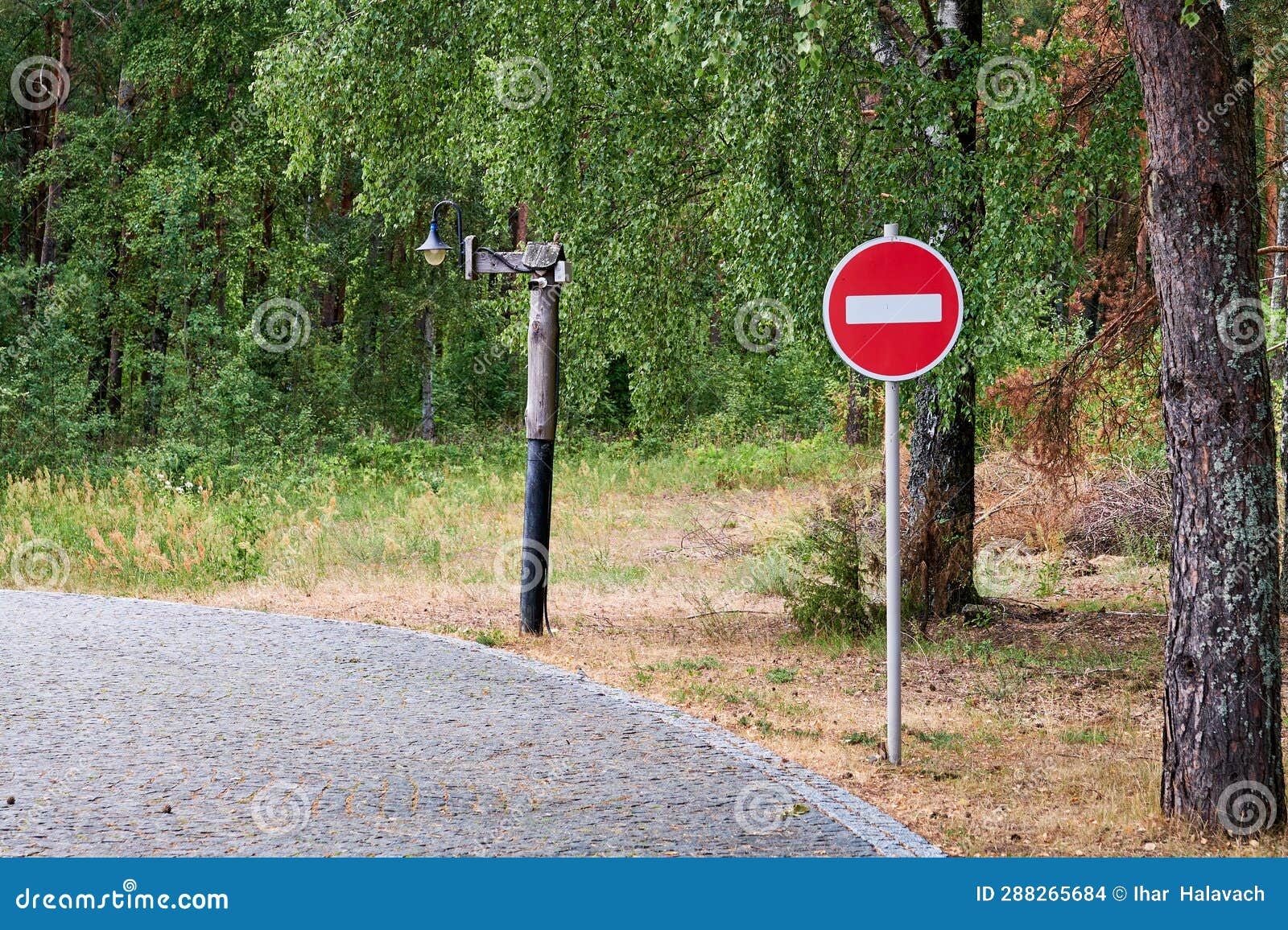 Red Road Sign Entry is Prohibited Against the Background of the Forest ...