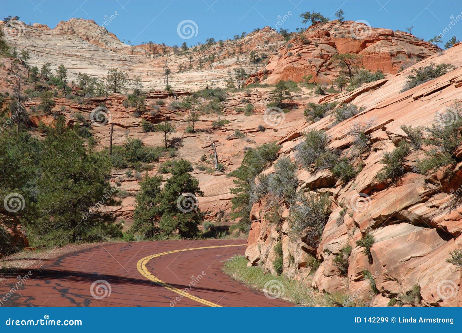 Red Road in Zion stock image. Image of national, rock, sandstone - 142299