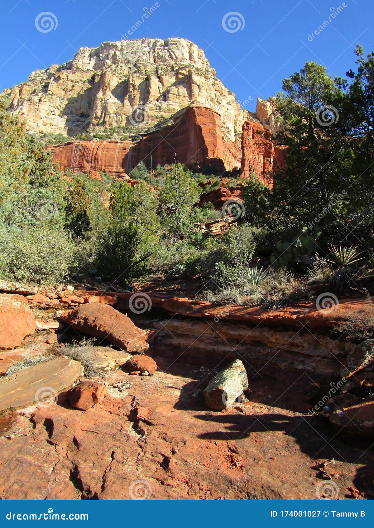 Red rock Boulders stock image. Image of backgrounds - 174001027