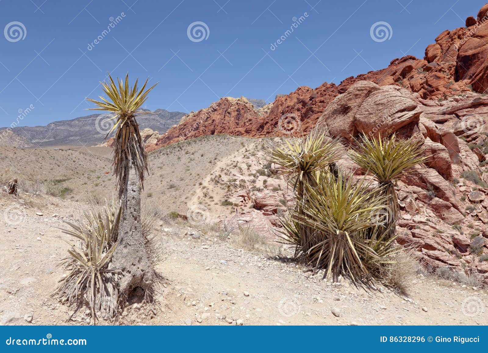 Red Rock Canyon Landscape Nevada. Stock Photo - Image of landscape ...