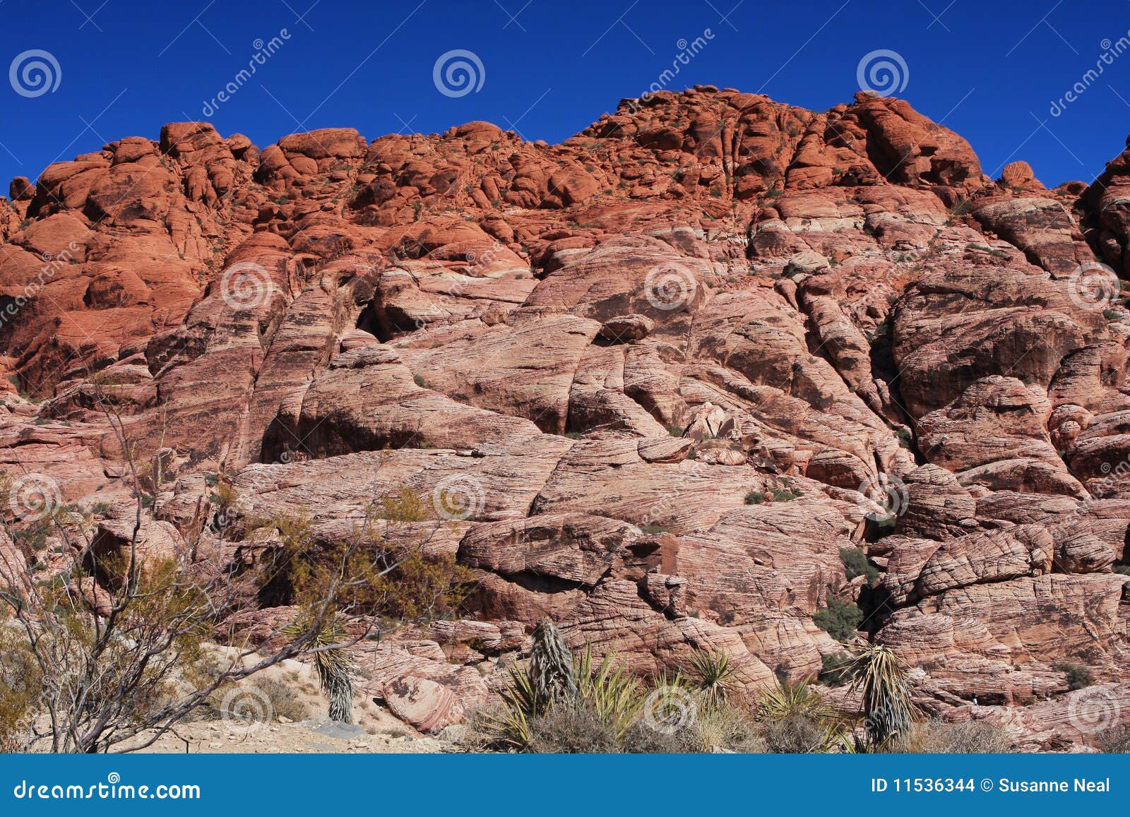 Red Rock Canyon in Las Vegas Stock Photo - Image of entrance, canyon ...