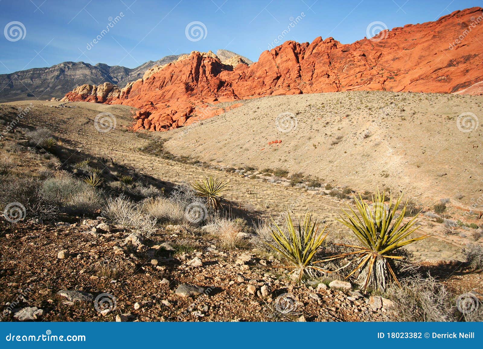 A Red Rock Canyon National Conservation Area Stock Photo - Image of ...