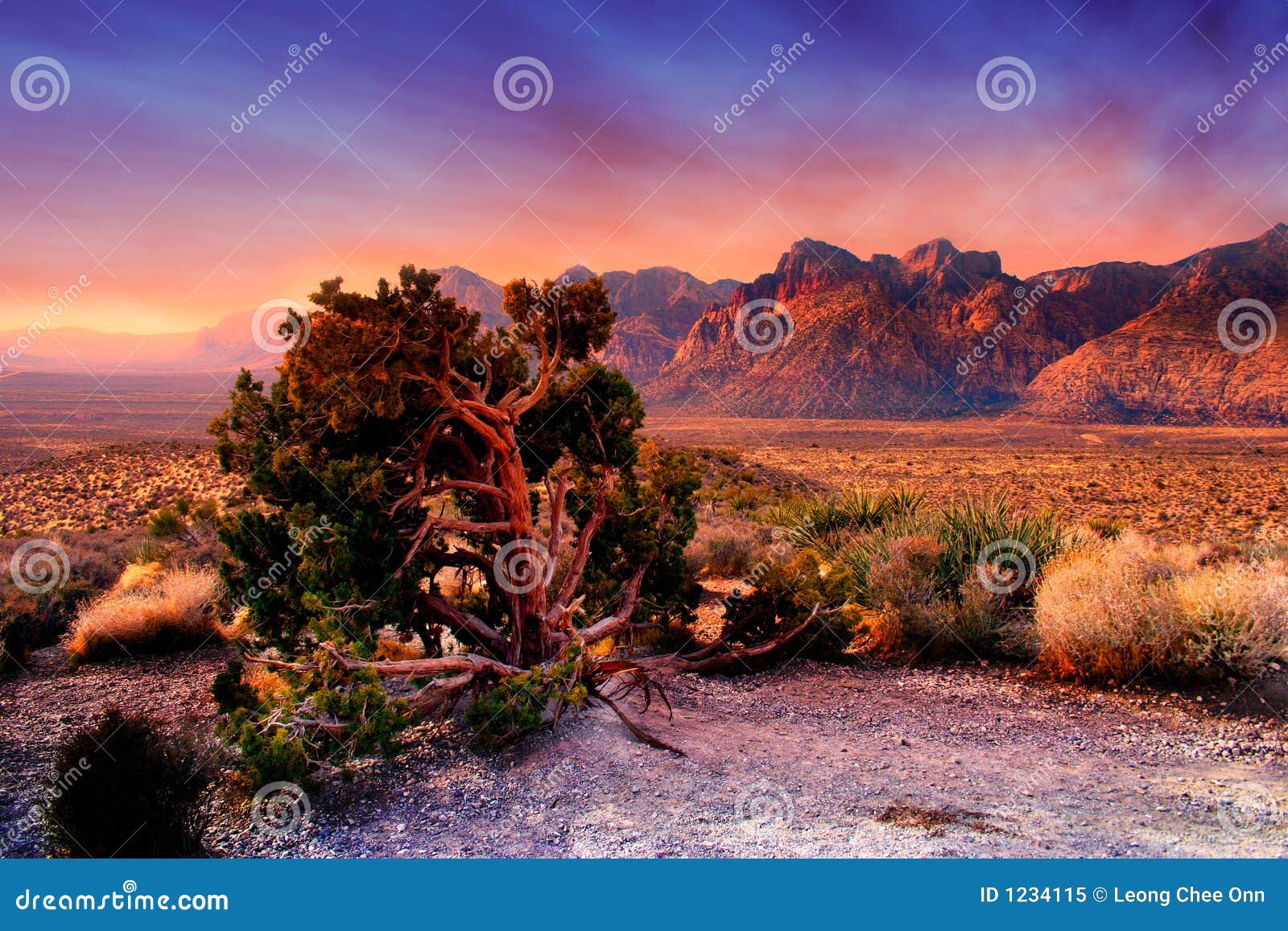 Red Rock Canyon, Nevada stock image. Image of blue, canyons - 1234115