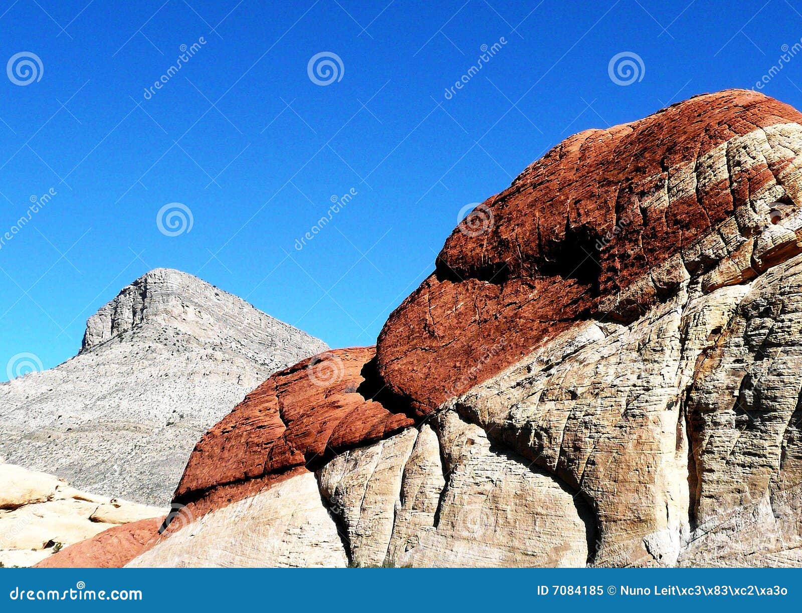 Red Rock Canyon Nevada Vegas Stock Image - Image of cactus, dawn: 7084185