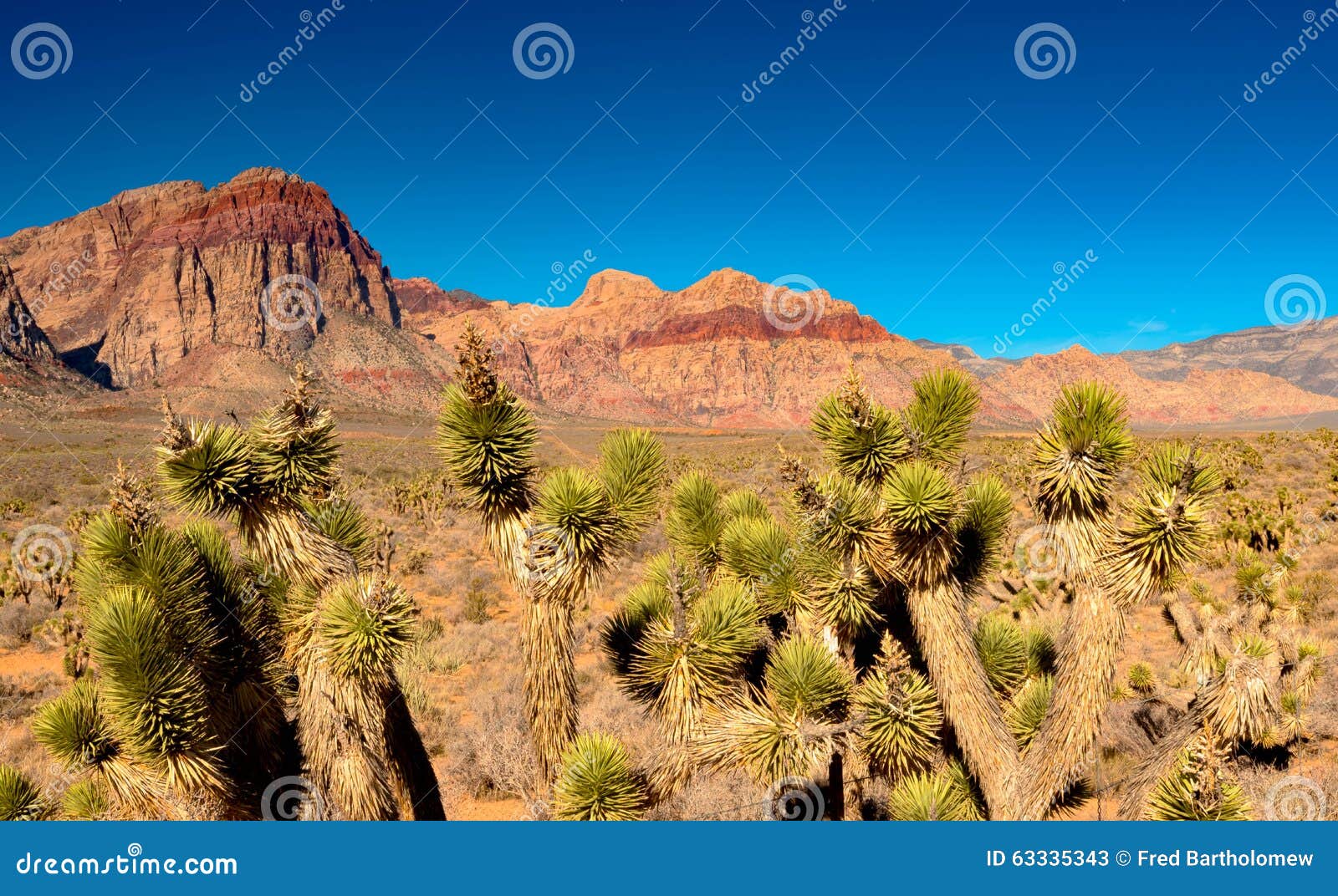 Red Rock Caynon Loop stock image. Image of nikon, redrock - 63335343