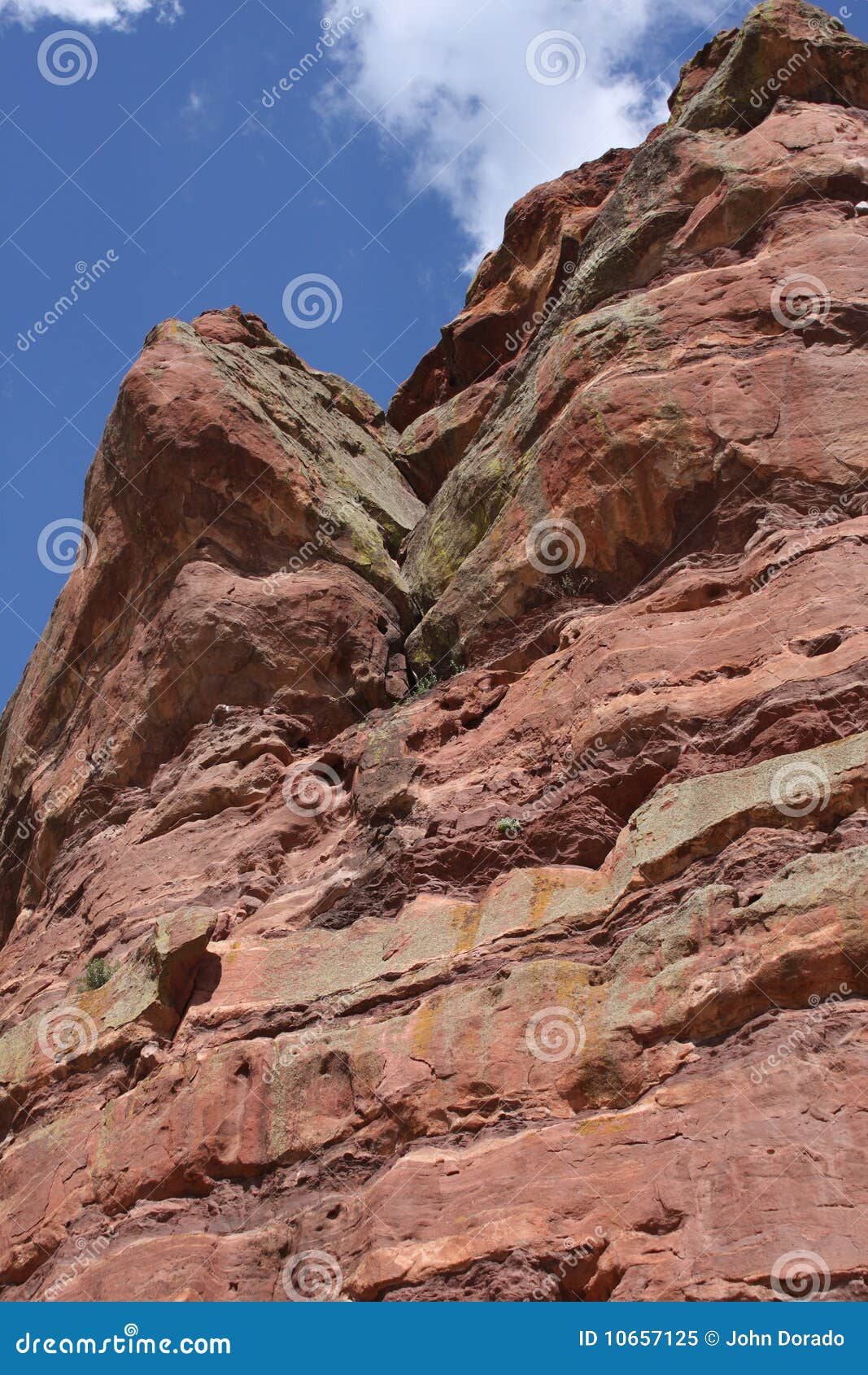 Red Rock Cliff Wall stock image. Image of brown, park - 10657125