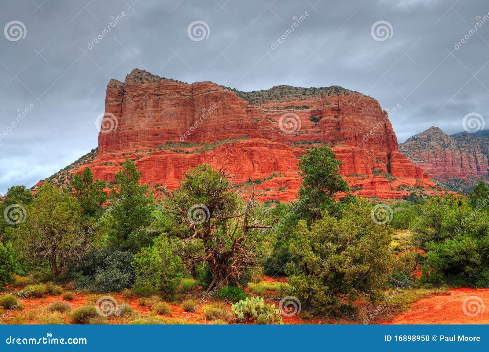 Red Rock Country stock photo. Image of travel, mountain - 16898950