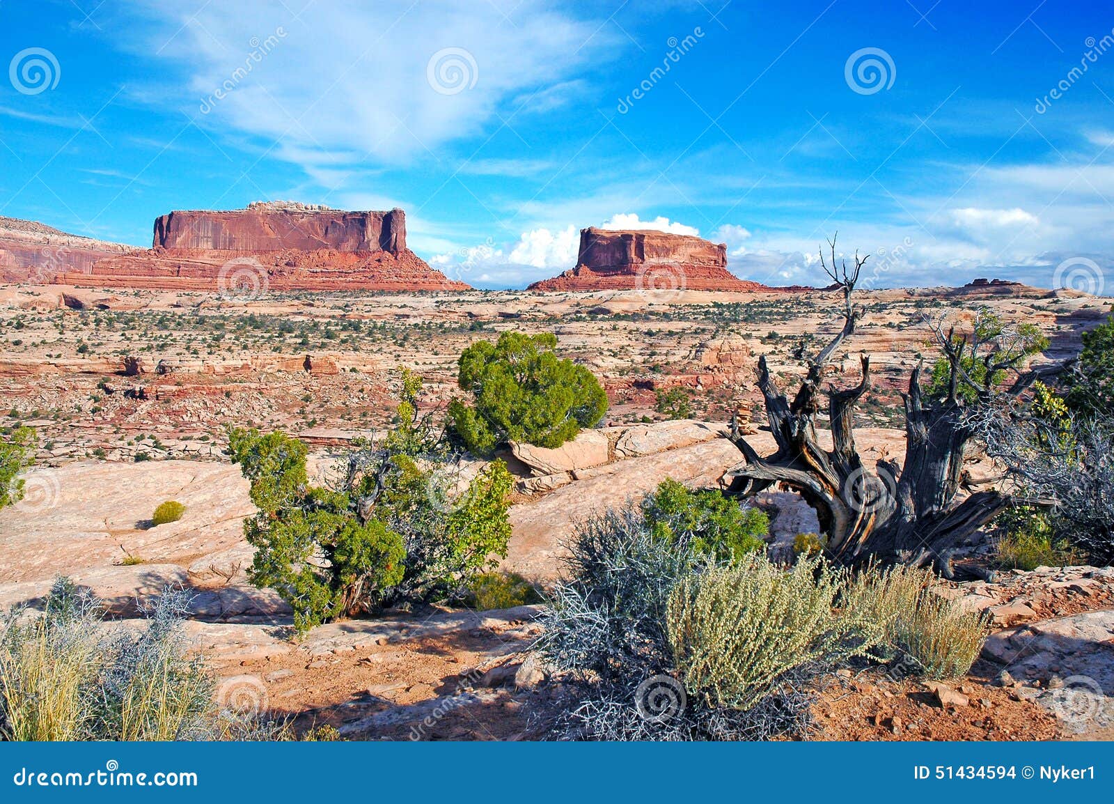Red Rock and Desert Landscape, Southwest USA Stock Photo - Image of ...