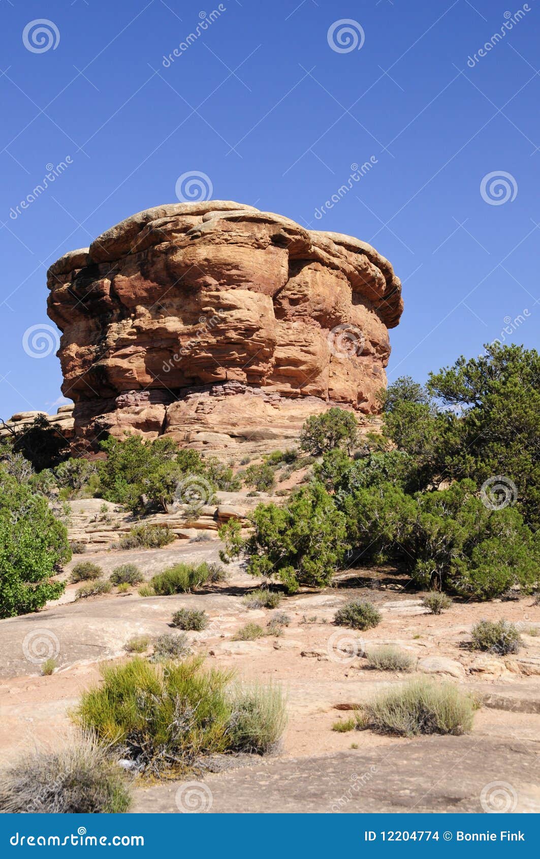 Red Rock Formation stock photo. Image of utah, park, formation - 12204774