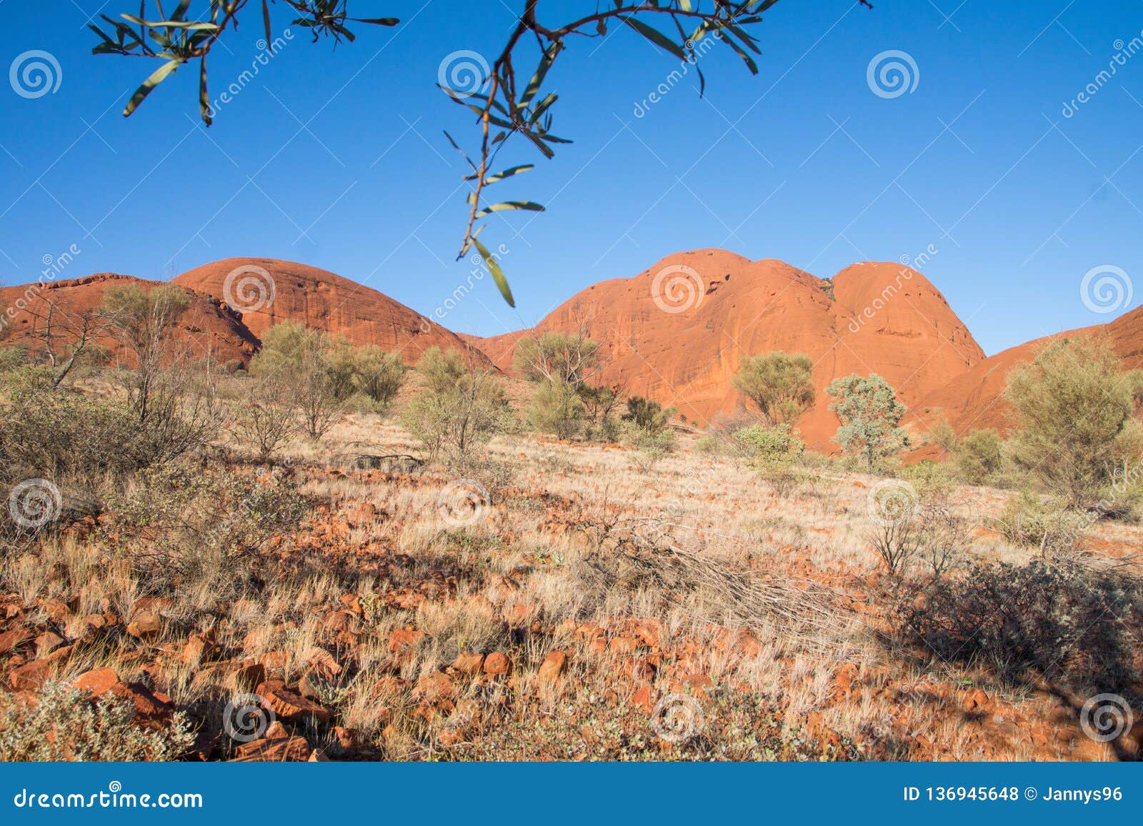 Red Rock Formation in Valley of the Winds in Australia Stock Photo ...