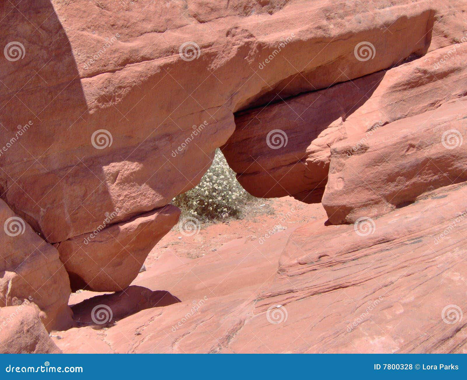 Red Rock formations stock photo. Image of rocks, national - 7800328