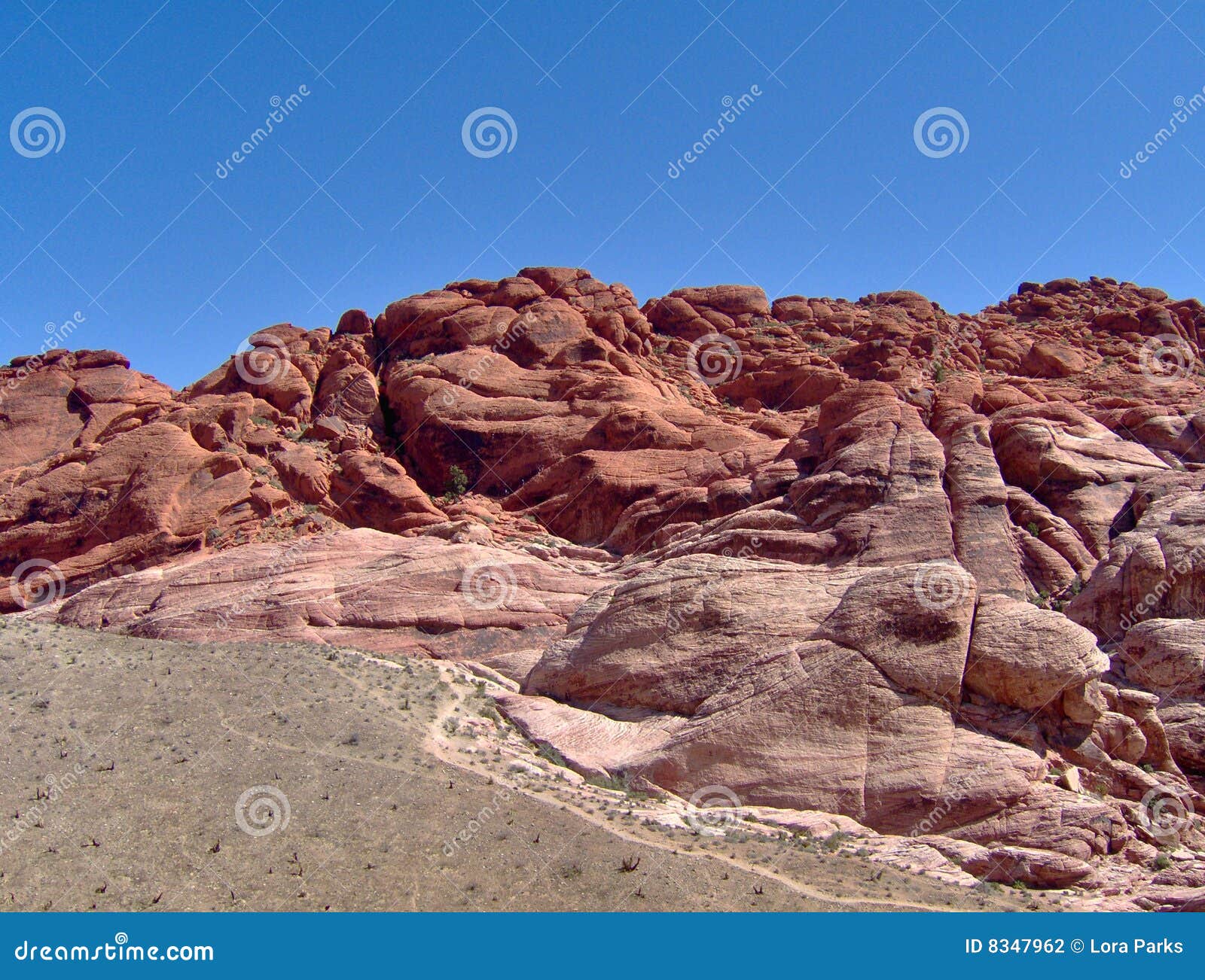 Red Rock formations stock photo. Image of parks, outdoor - 8347962