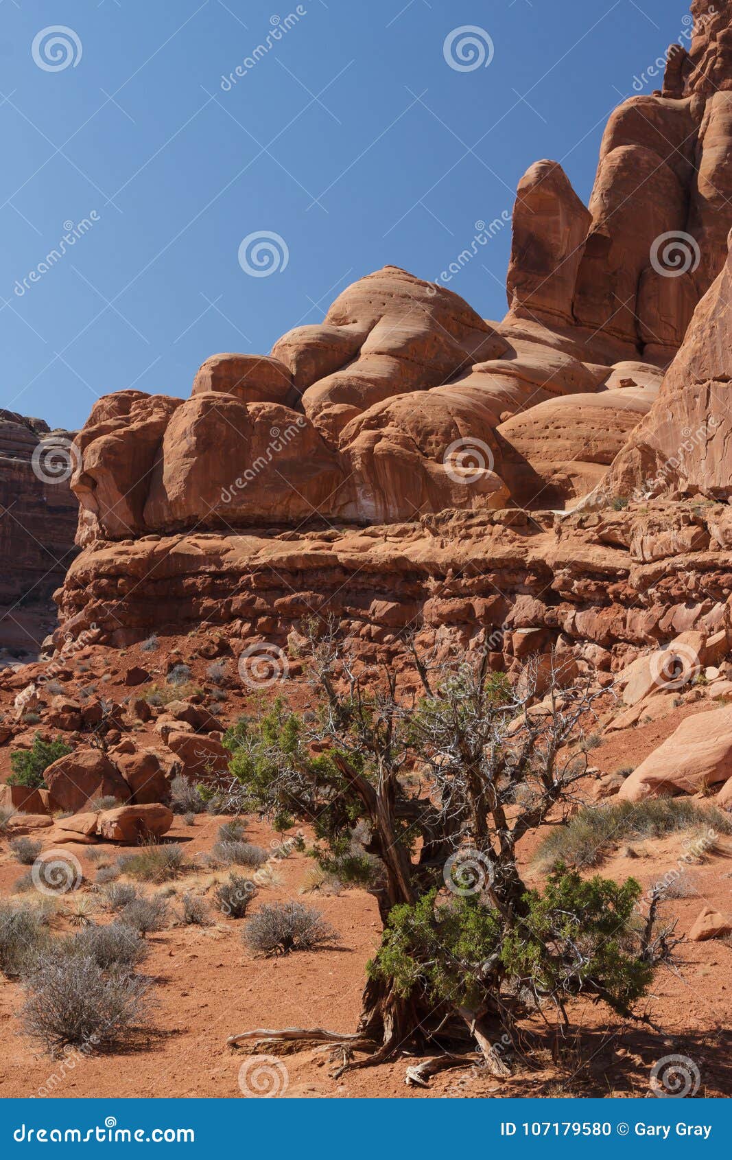 Red Rock Formations in Arches National Park, Utah Stock Photo - Image ...