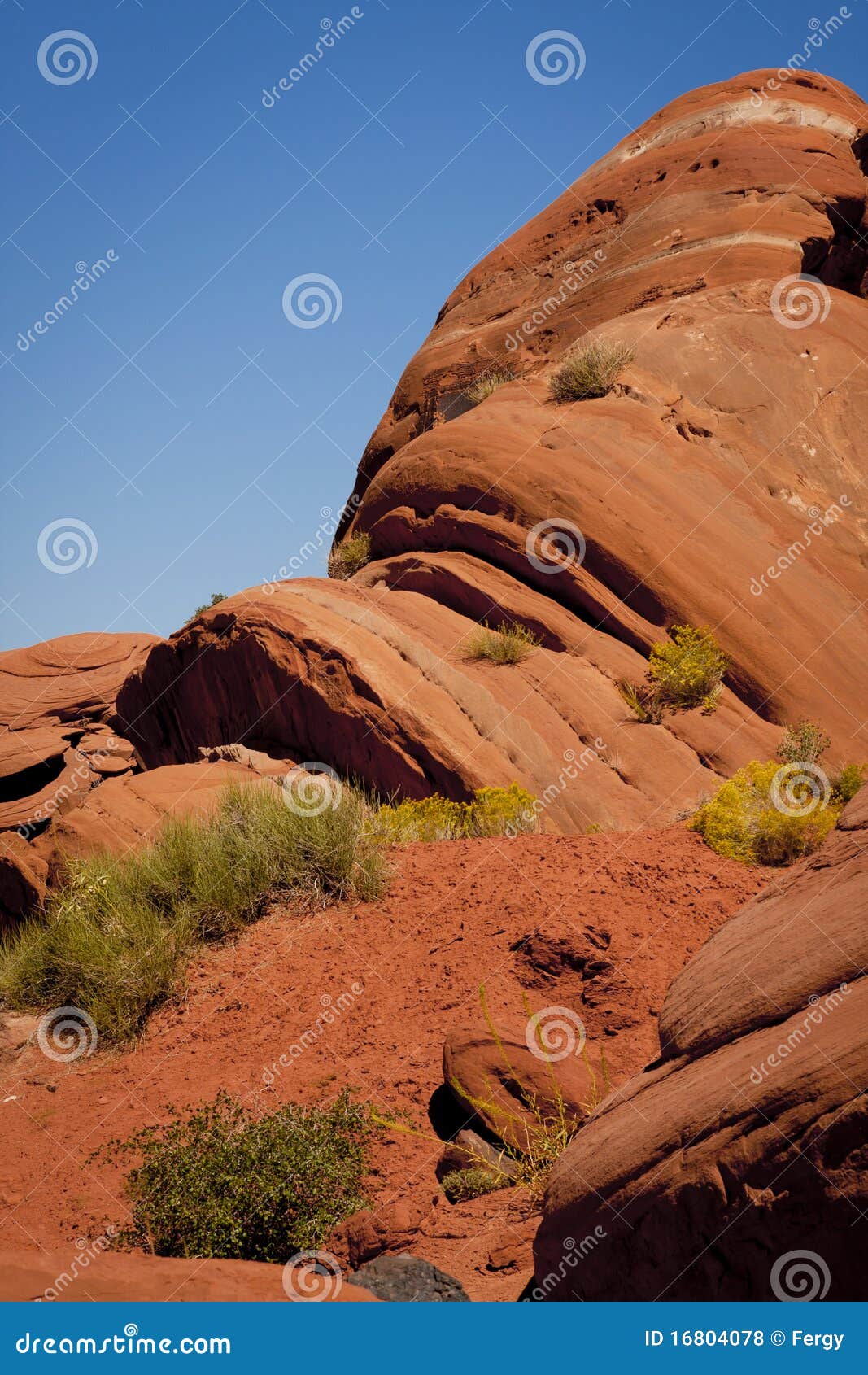 Red Rock in Moab stock photo. Image of outdoors, vegetation - 16804078