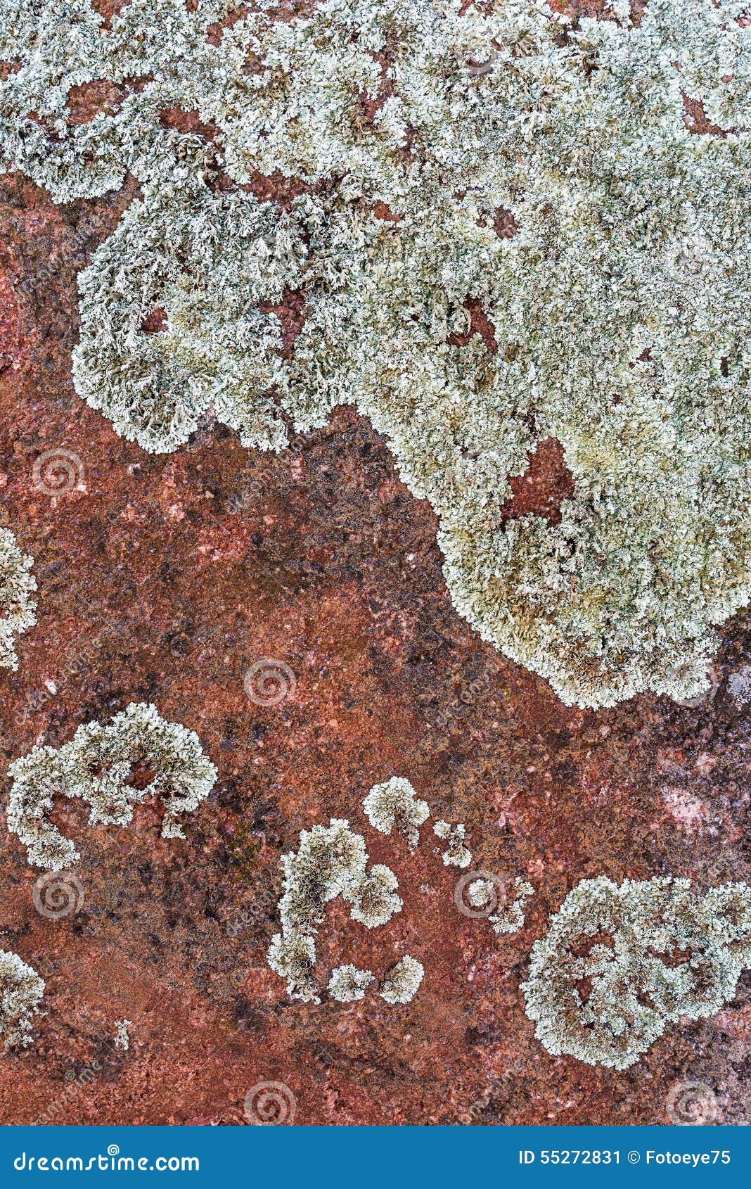 Red Rock Stone Background Texture Pattern Stock Image - Image of ...