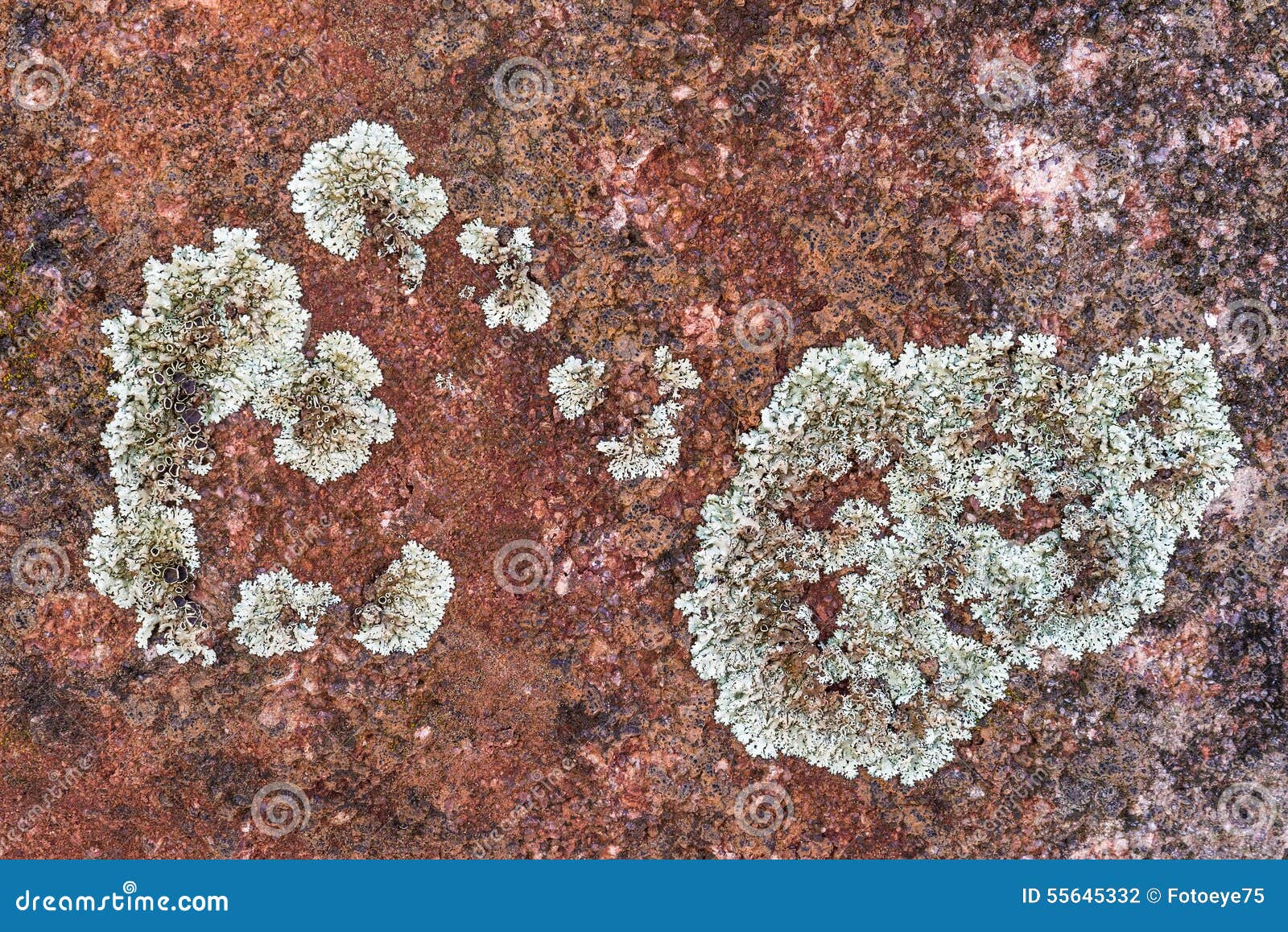 Red Rock Stone Background Texture Pattern Stock Photo - Image of ...