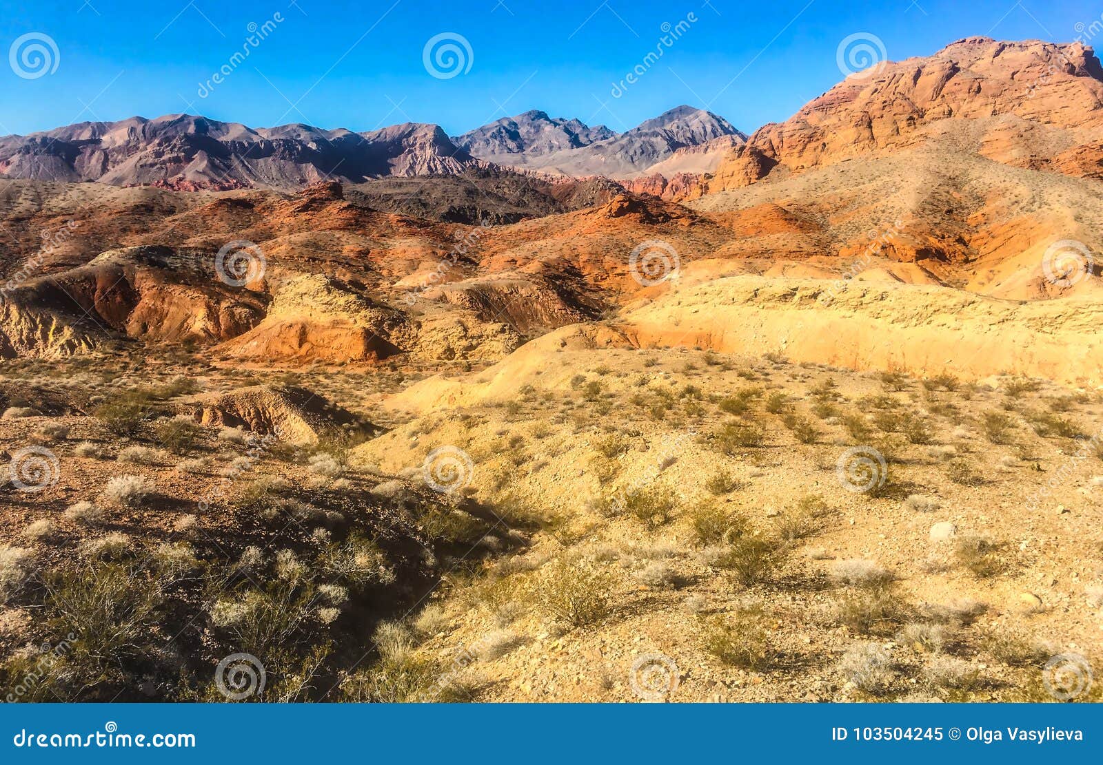 Red Rock Structure and Cactus in Valley of Fire, Nevada, USA Stock ...