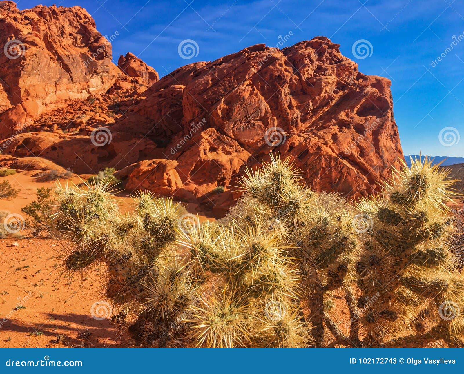 Red Rock Structure and Cactus in Valley of Fire, Nevada, USA Stock ...