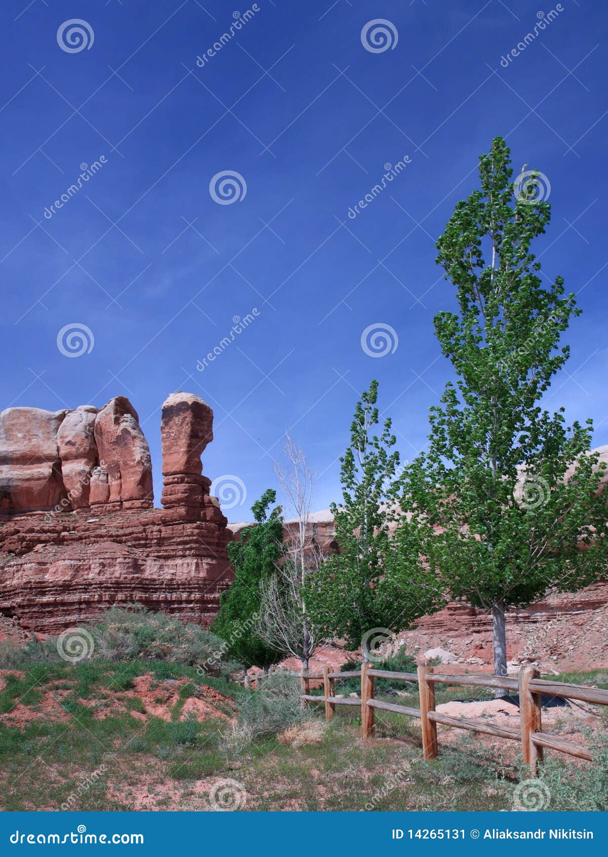 Red rock and tree in Utah stock image. Image of sand - 14265131