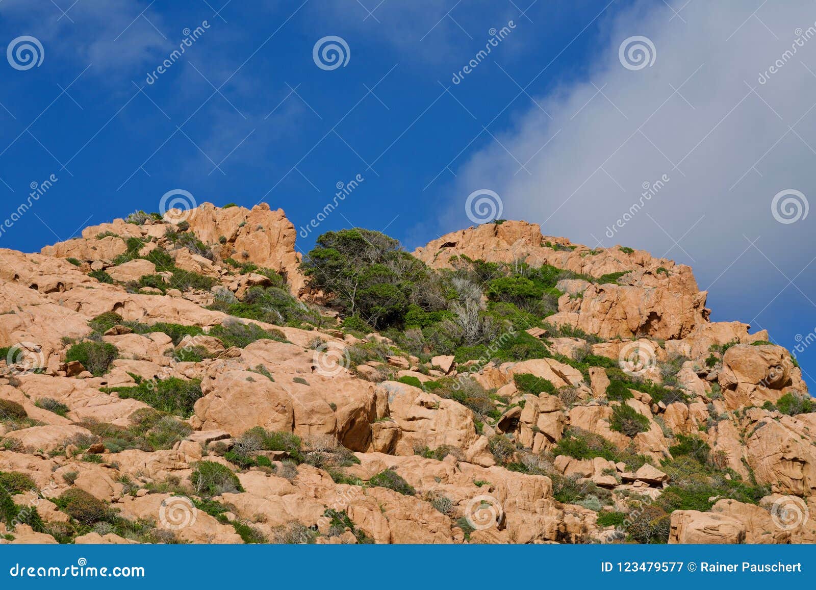 Red Rock with Trees Under the Sky Stock Image - Image of rock ...