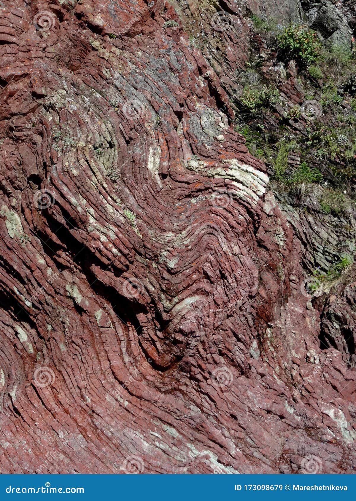 Red Rock of Unusual Texture Stock Image - Image of nature, texture ...