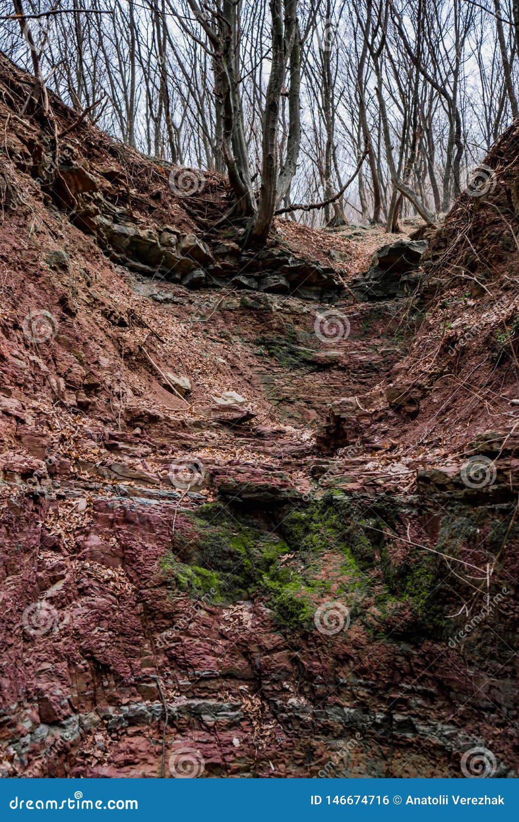 Red Rock Walls of Ravine with Trees on the Top Stock Photo - Image of ...