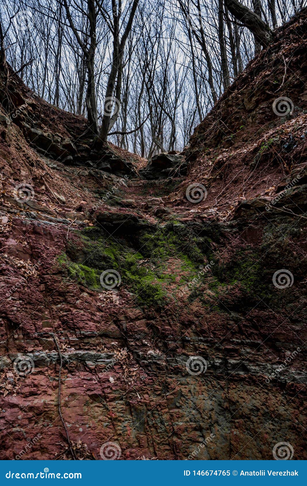 Red Rock Walls of Ravine with Trees on the Top Stock Image - Image of ...