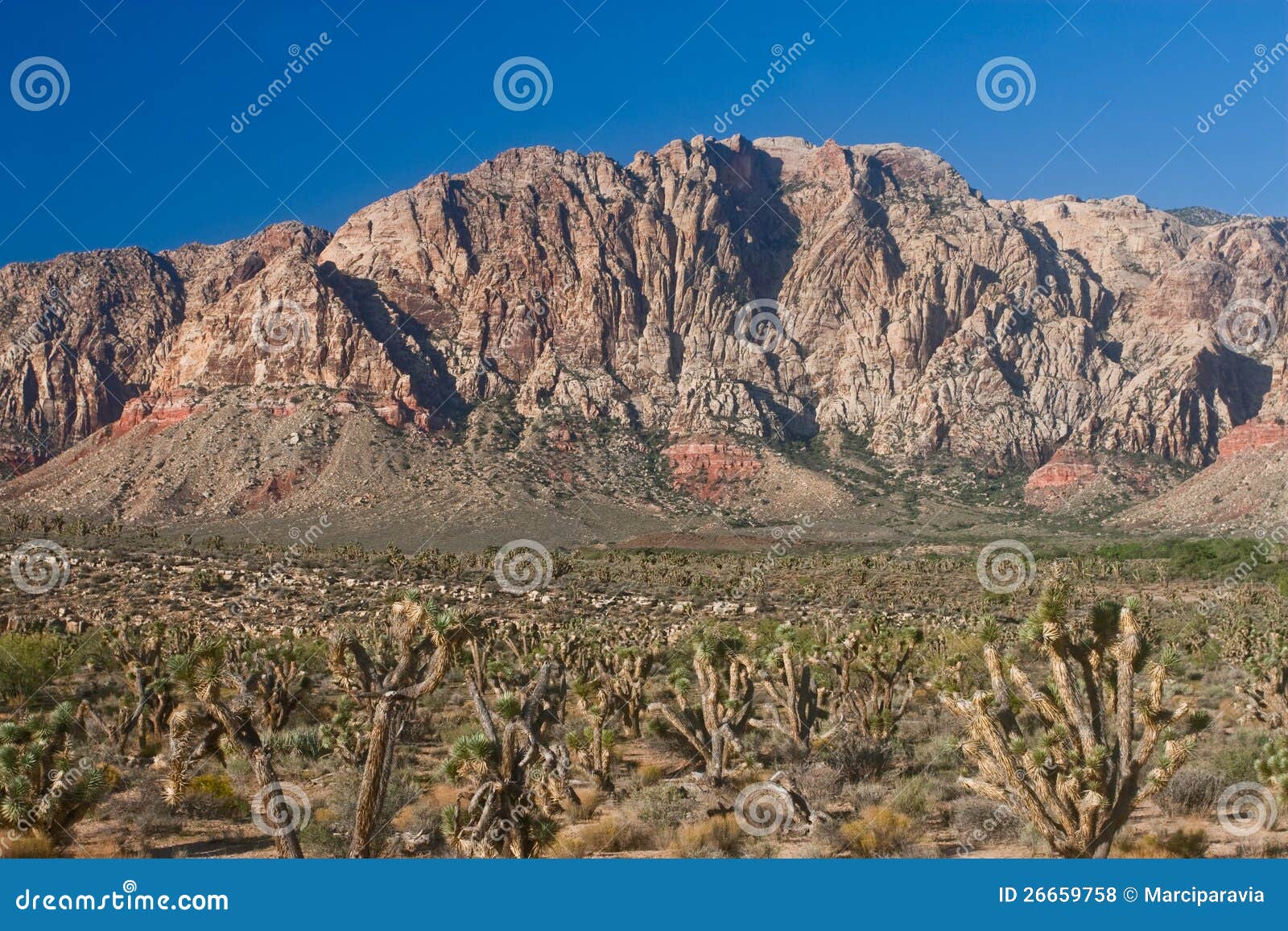 Red Rocks stock photo. Image of canyon, green, rocks - 26659758