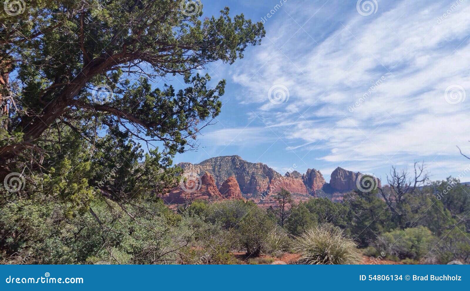 Red rocks in Arizona stock photo. Image of tree, rocks - 54806134