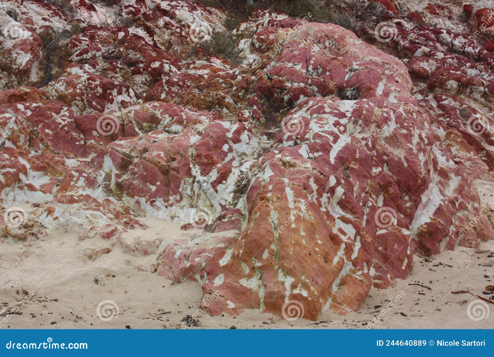 Red Rocks on the beach stock image. Image of meat, autumn - 244640889