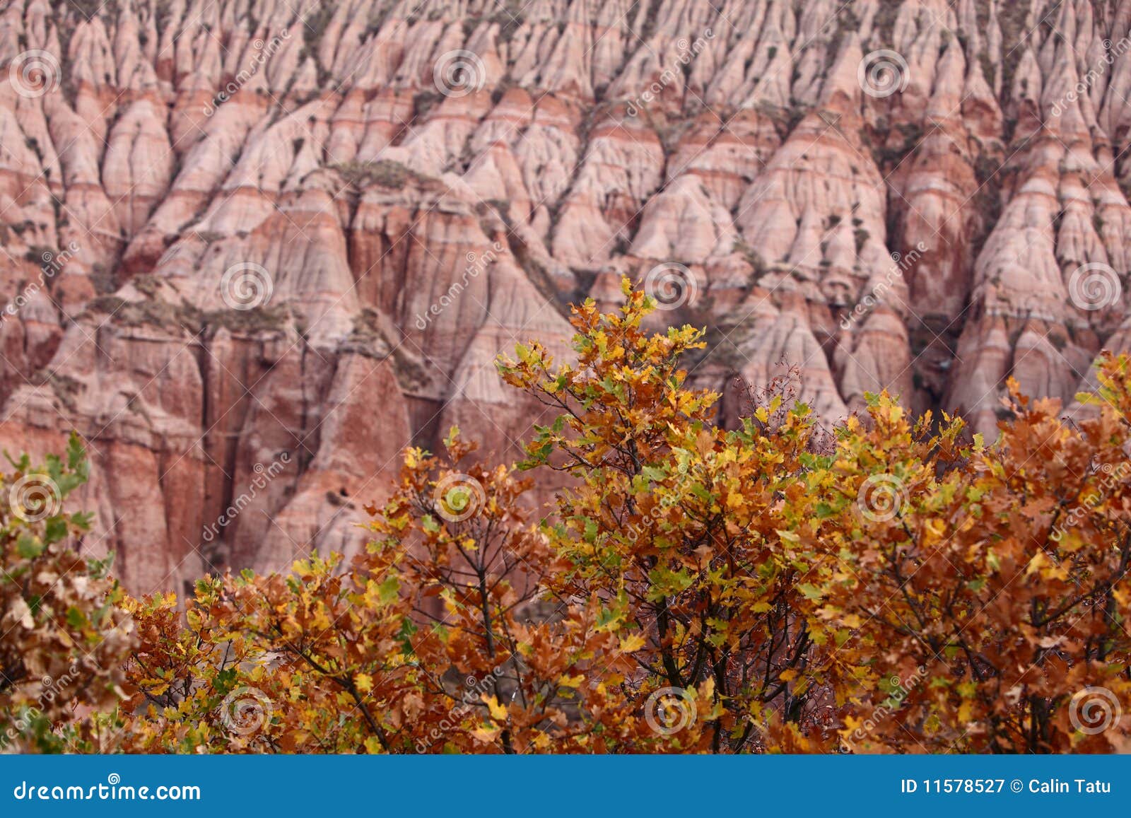 Red Rocks in Canyon in the Fall Stock Image - Image of park, landscape ...