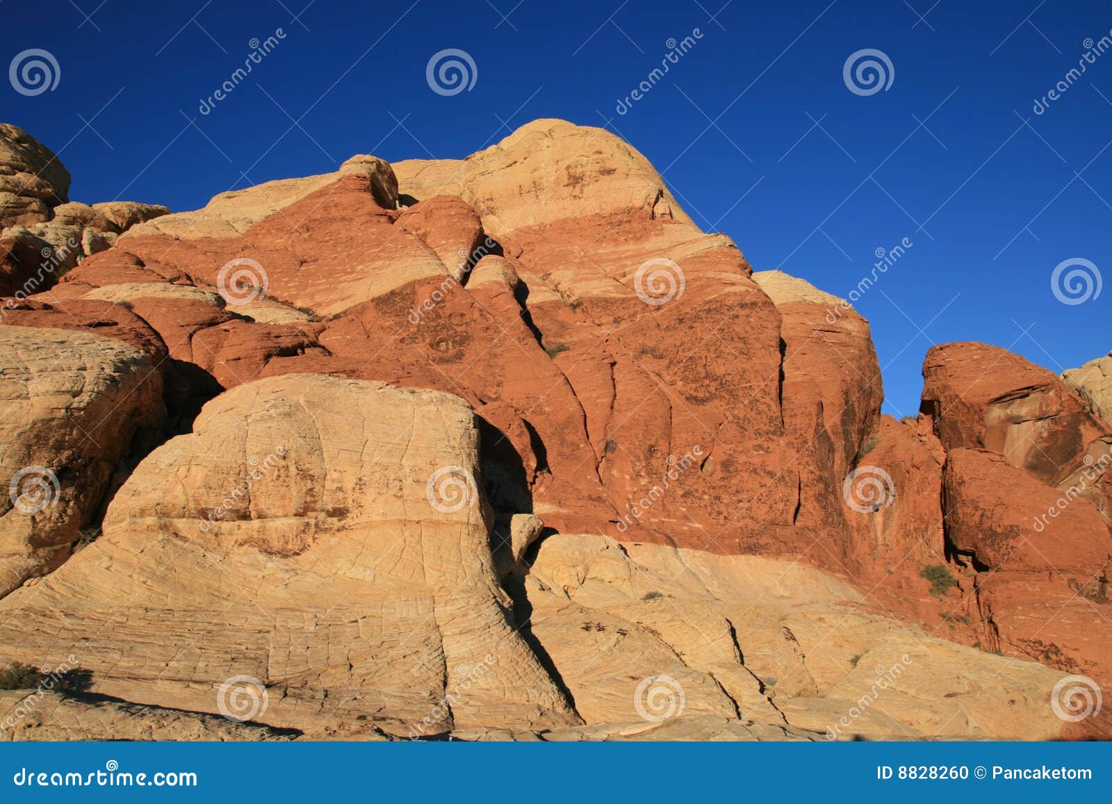 Red rocks cliffs stock photo. Image of landscape, cliff - 8828260