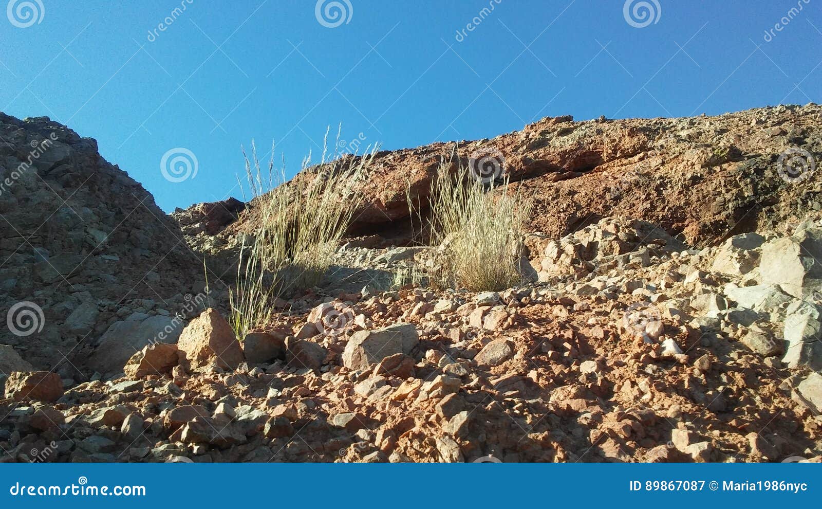 Red Rocks in Desert in Phoenix, Arizona in Spring. Stock Image - Image ...