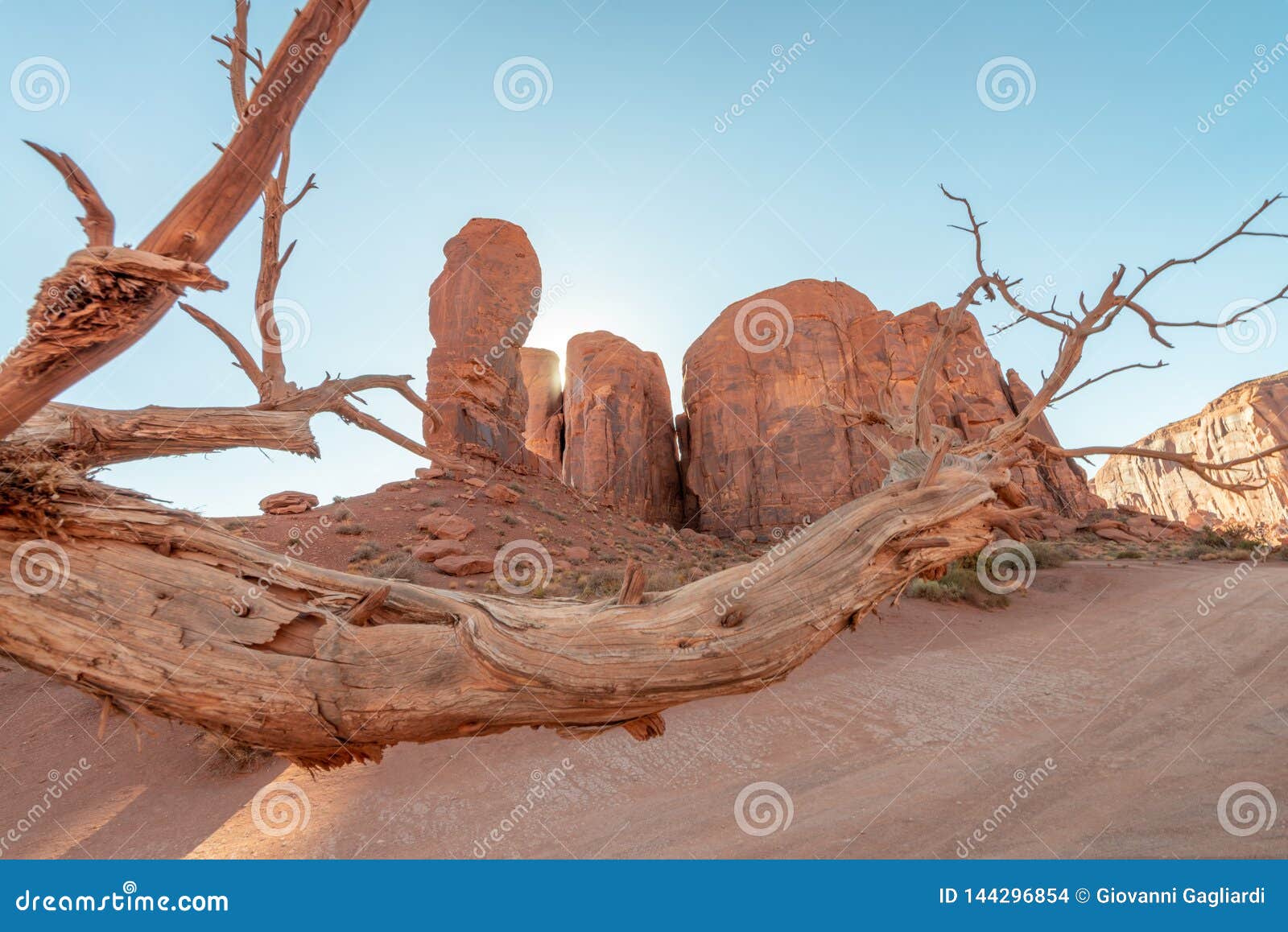 Red Rocks of Monument Valley on a Clear Summer Day with Tree Trunk on ...