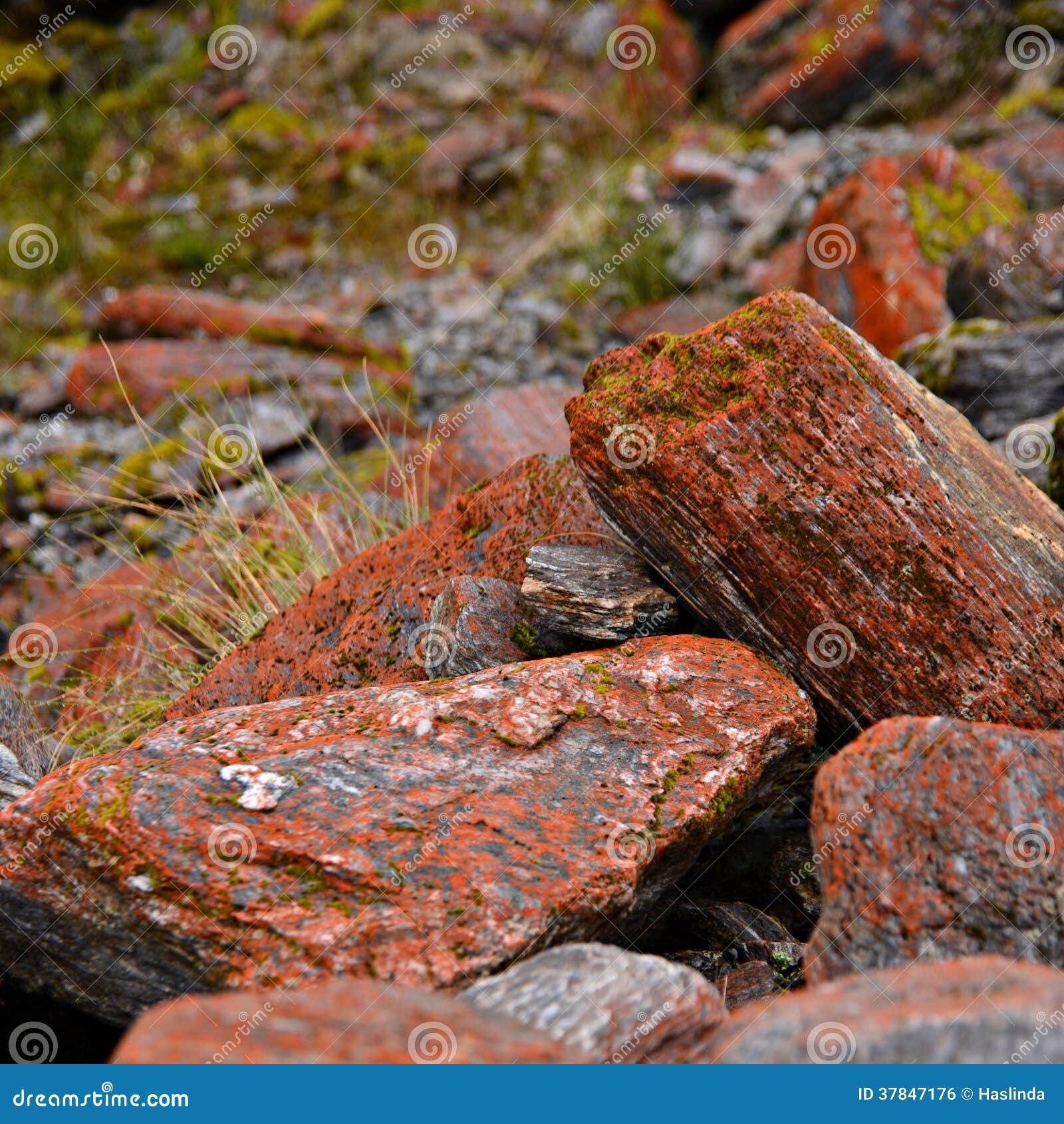 Red rocks stock photo. Image of rocks, nature, landscape - 37847176