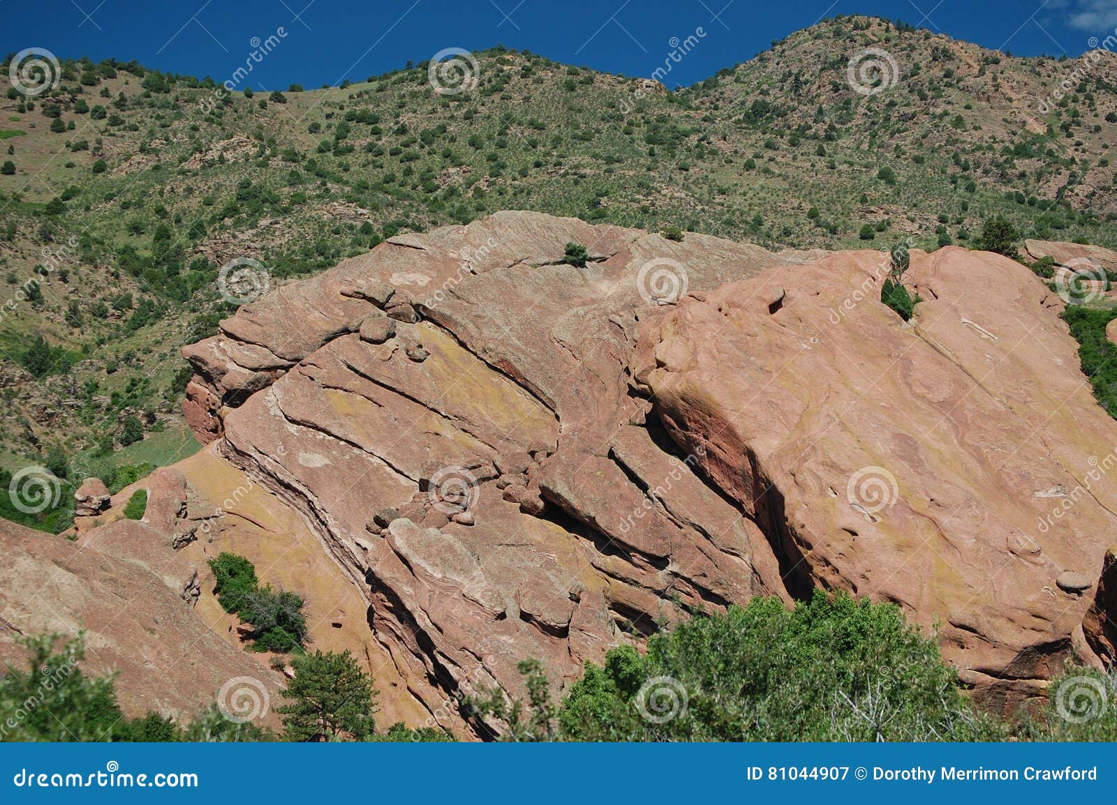 Red Rocks Park in Colorado stock image. Image of grass - 81044907