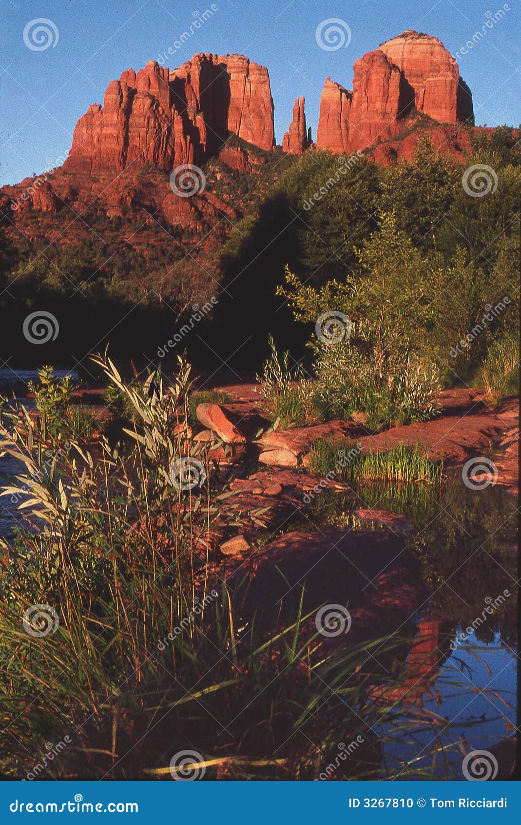 Red Rocks,sunset, Sedona Arizona Stock Photo - Image of american ...