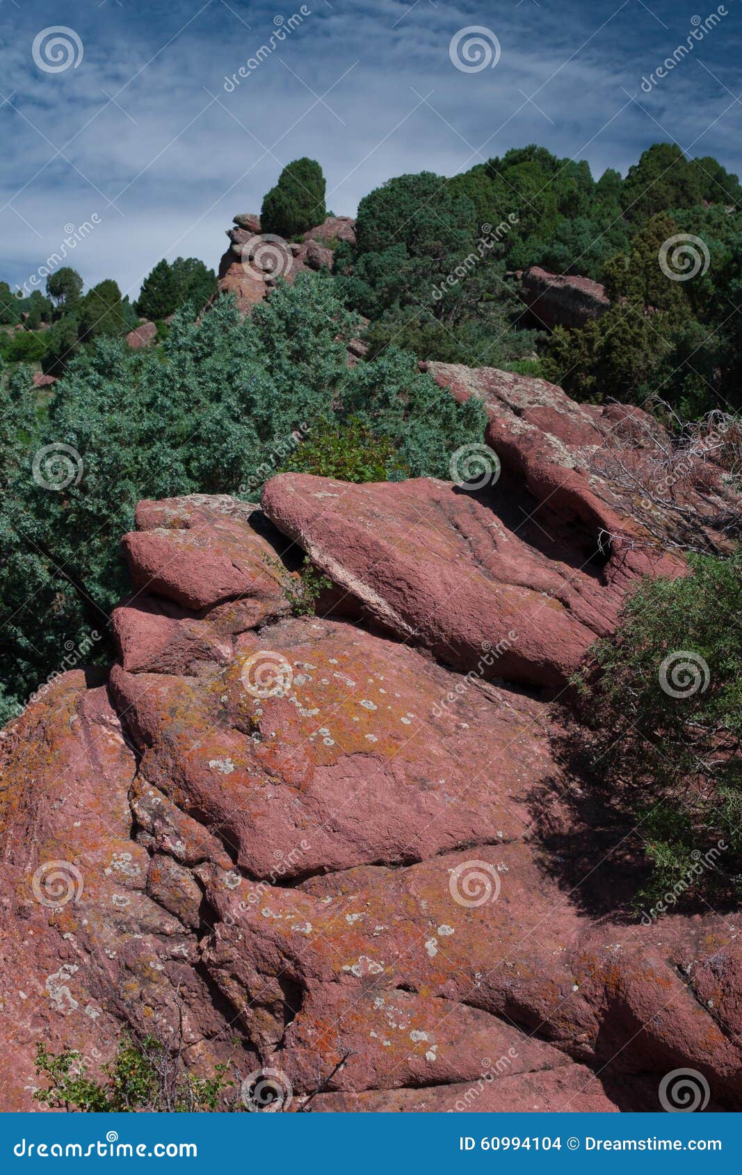 Red Rocks stock photo. Image of rocks, stone, trees, state - 60994104