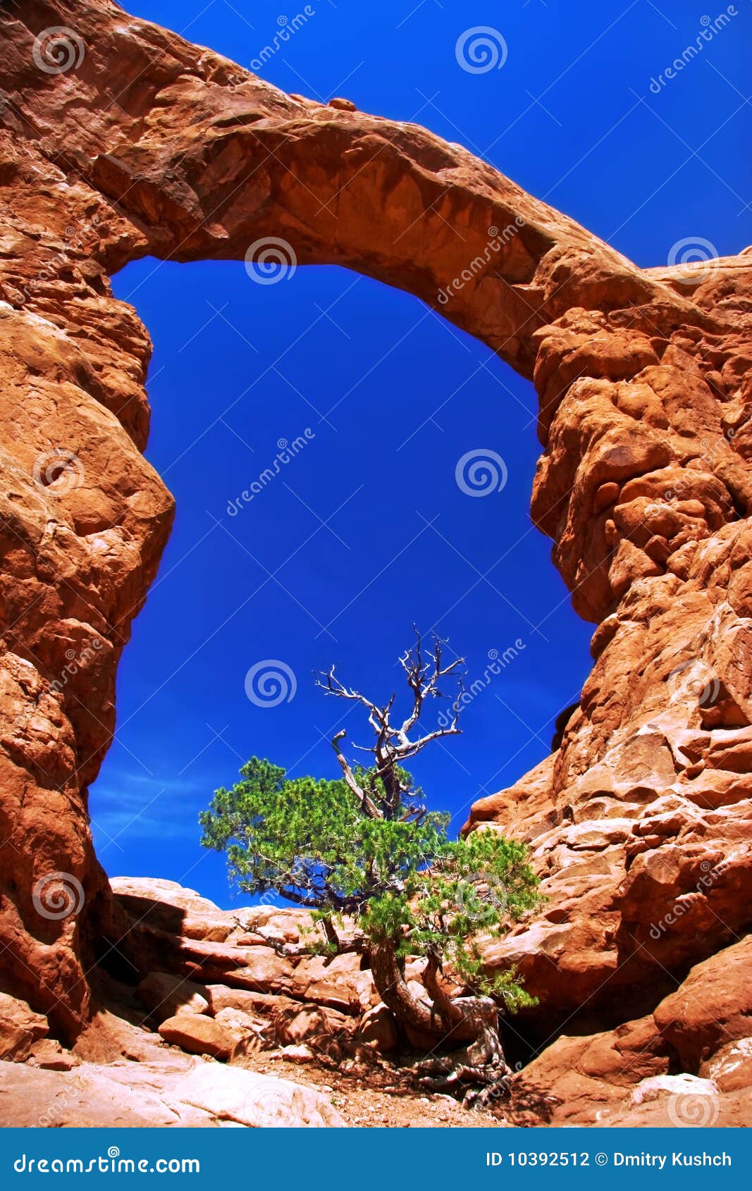Red rocks of Utah stock photo. Image of destinations - 10392512