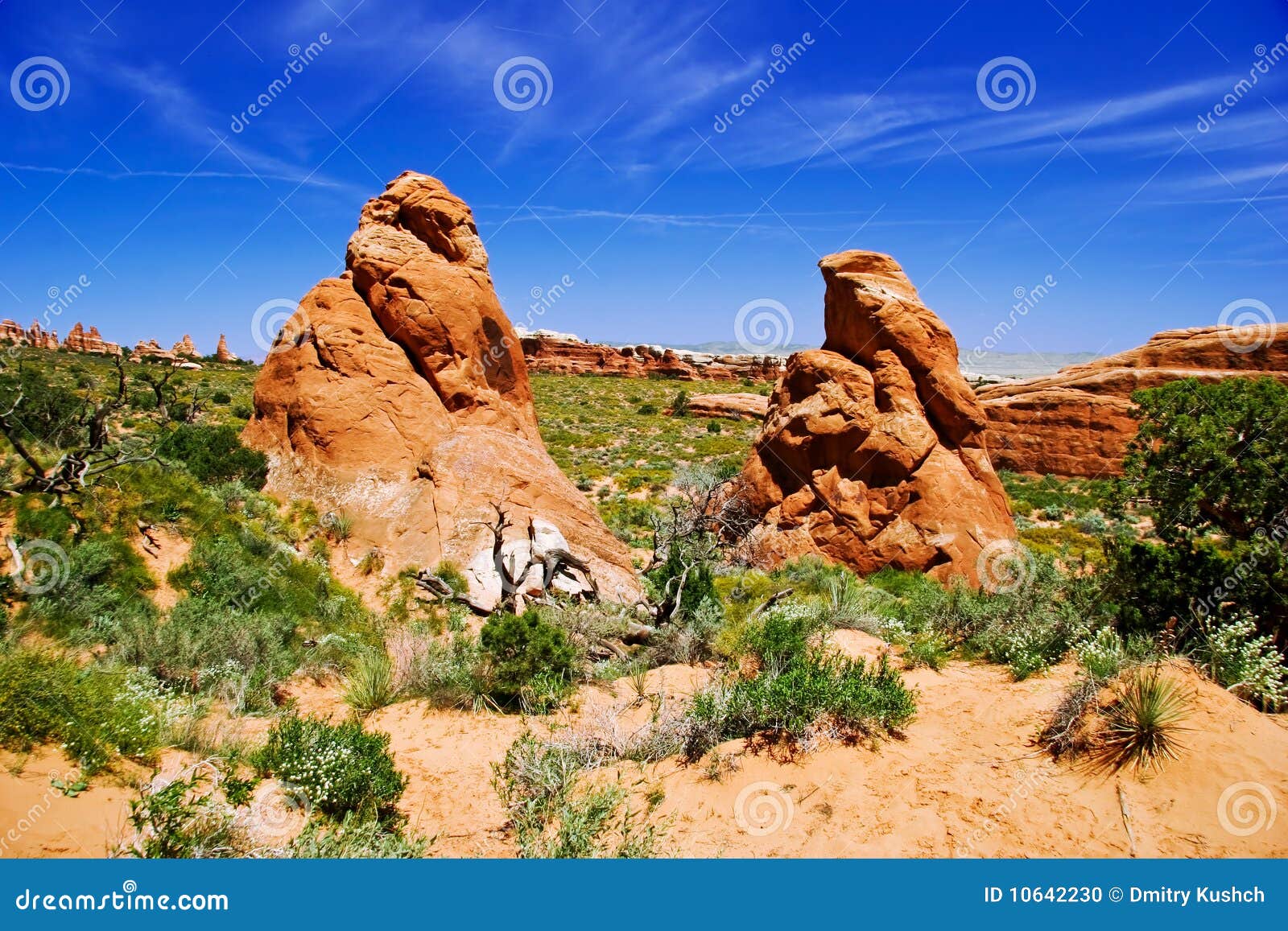 Red rocks of Utah stock photo. Image of morning, grass - 10642230