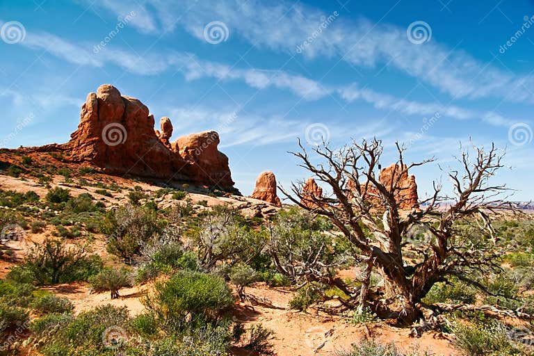 Red rocks of Utah stock image. Image of desert, mountains - 10912357