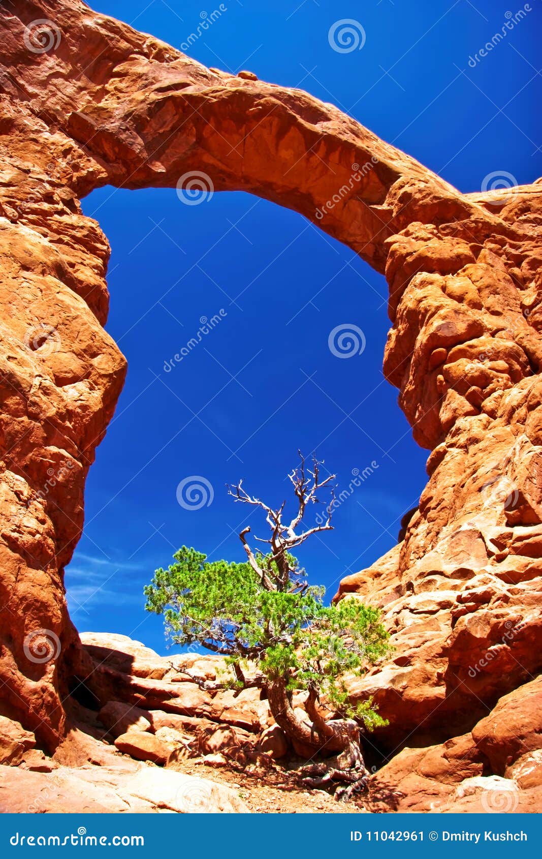 Red rocks of Utah stock image. Image of cliff, grass - 11042961